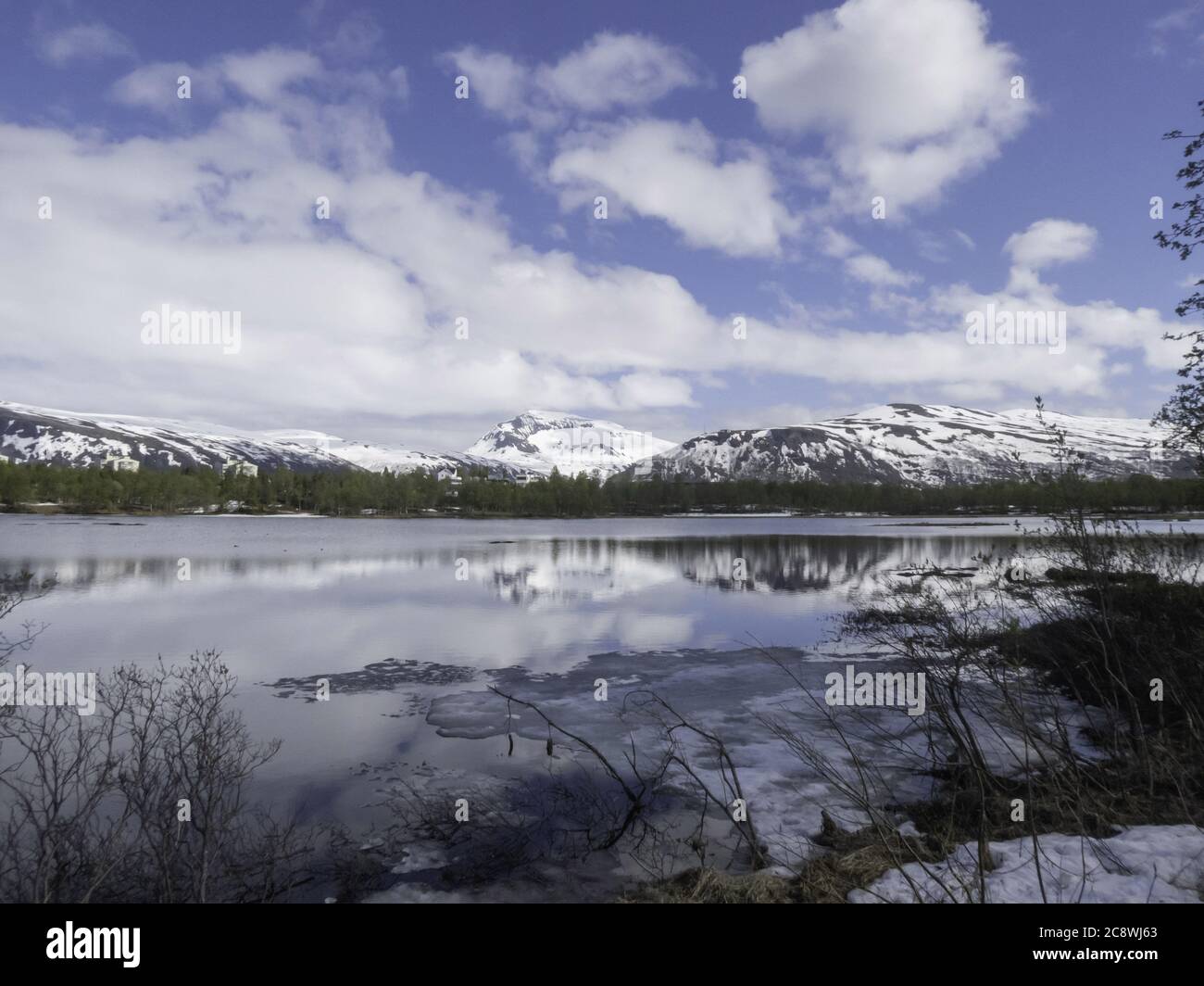 late spring at lake Prestvannet, june 2020 | usage worldwide Stock ...