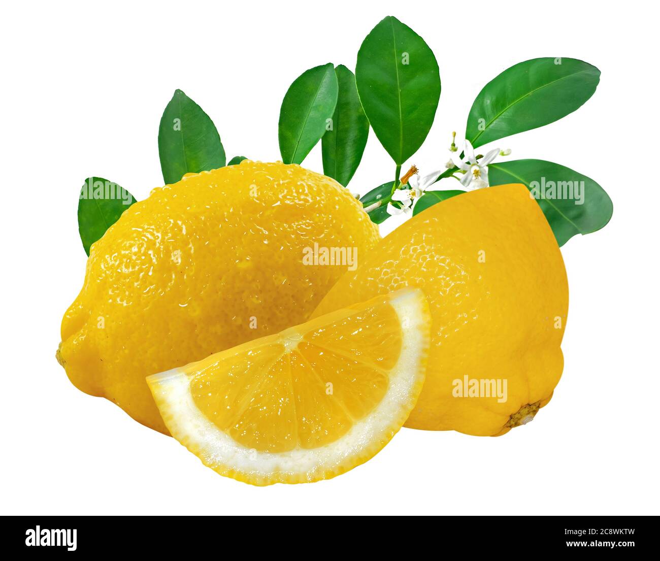 Lemon fruit isolated on white background Stock Photo - Alamy