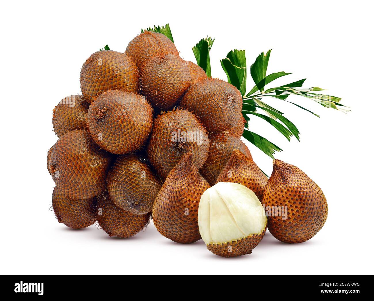 Snack skin fruit or Salak fruit isolated on white background Stock ...