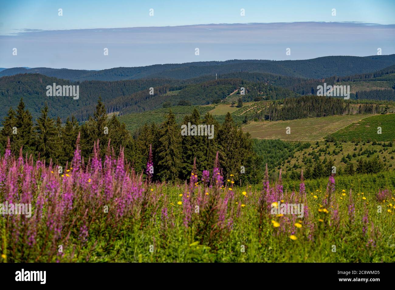 Hochsauerland hohenstrasse hi-res stock photography and images - Alamy