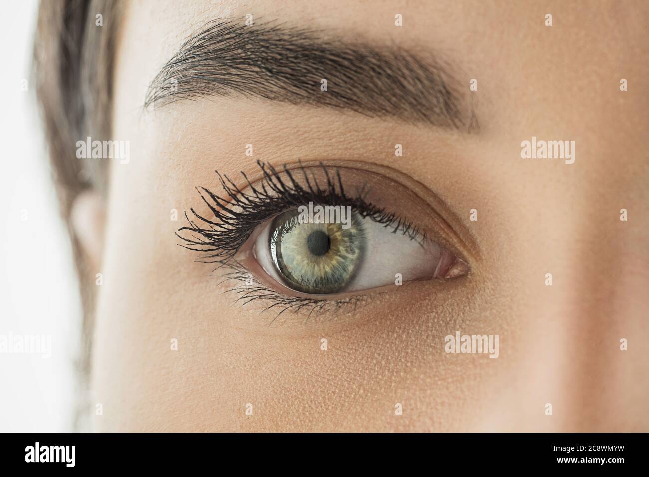 Close up of face, eyes of beautiful caucasian young woman, clear look ...