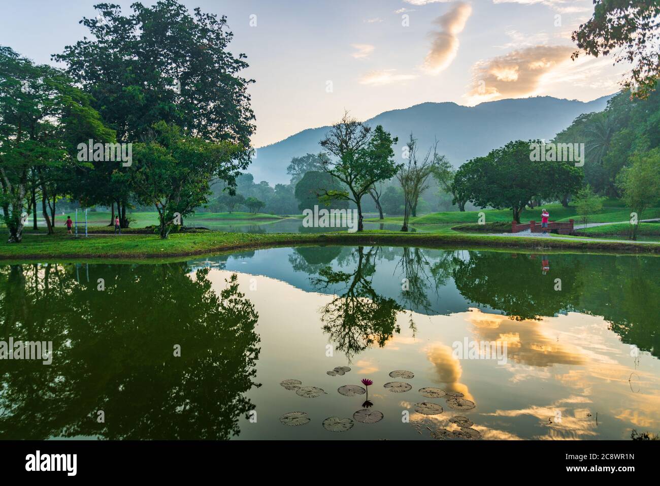 Taiping Lake Garden Stock Photo - Alamy