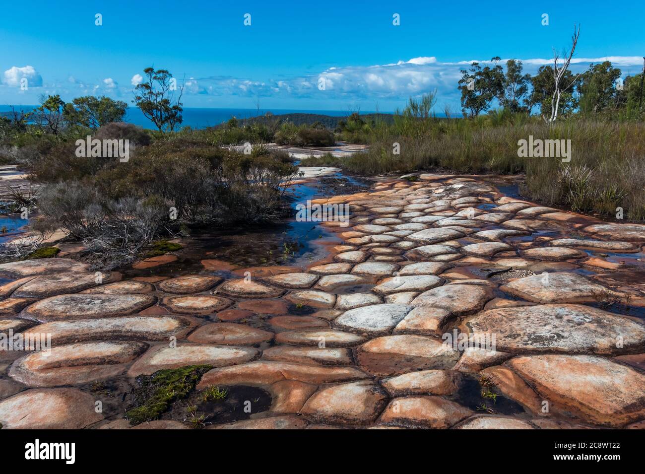 Tessellated Rock Pavement in the Bouddi National Park between Patonga ...