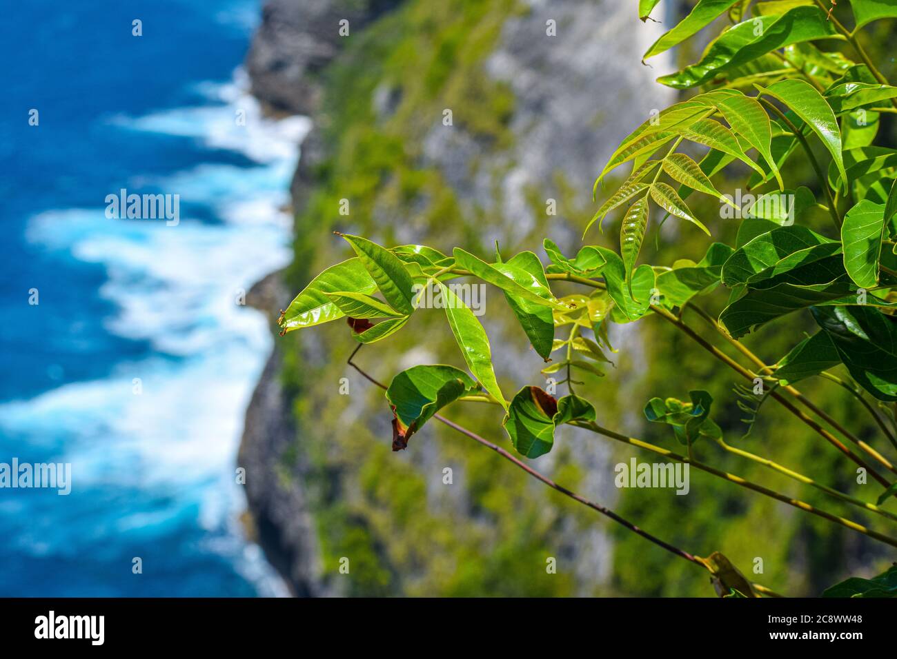 Beautiful Klingking Beach and rocks on the island of Nusa Penida near ...