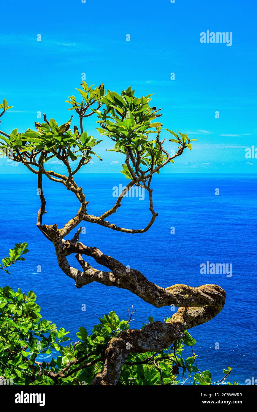 Beautiful Klingking Beach and rocks on the island of Nusa Penida near ...