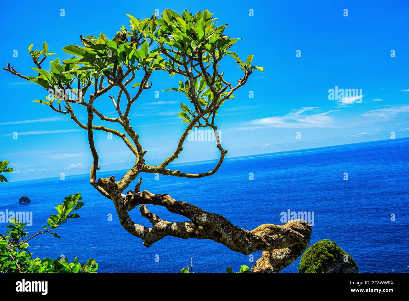 Beautiful Klingking Beach and rocks on the island of Nusa Penida near ...