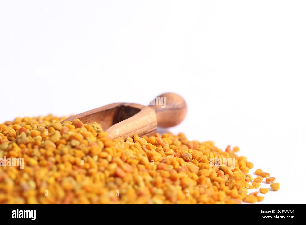 Propolis bees bee pollen on white background Stock Photo - Alamy