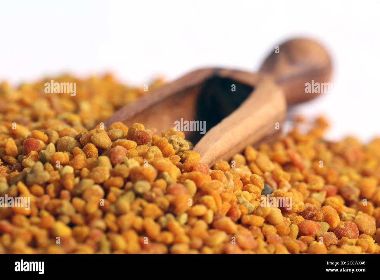 Propolis bees bee pollen on white background Stock Photo - Alamy