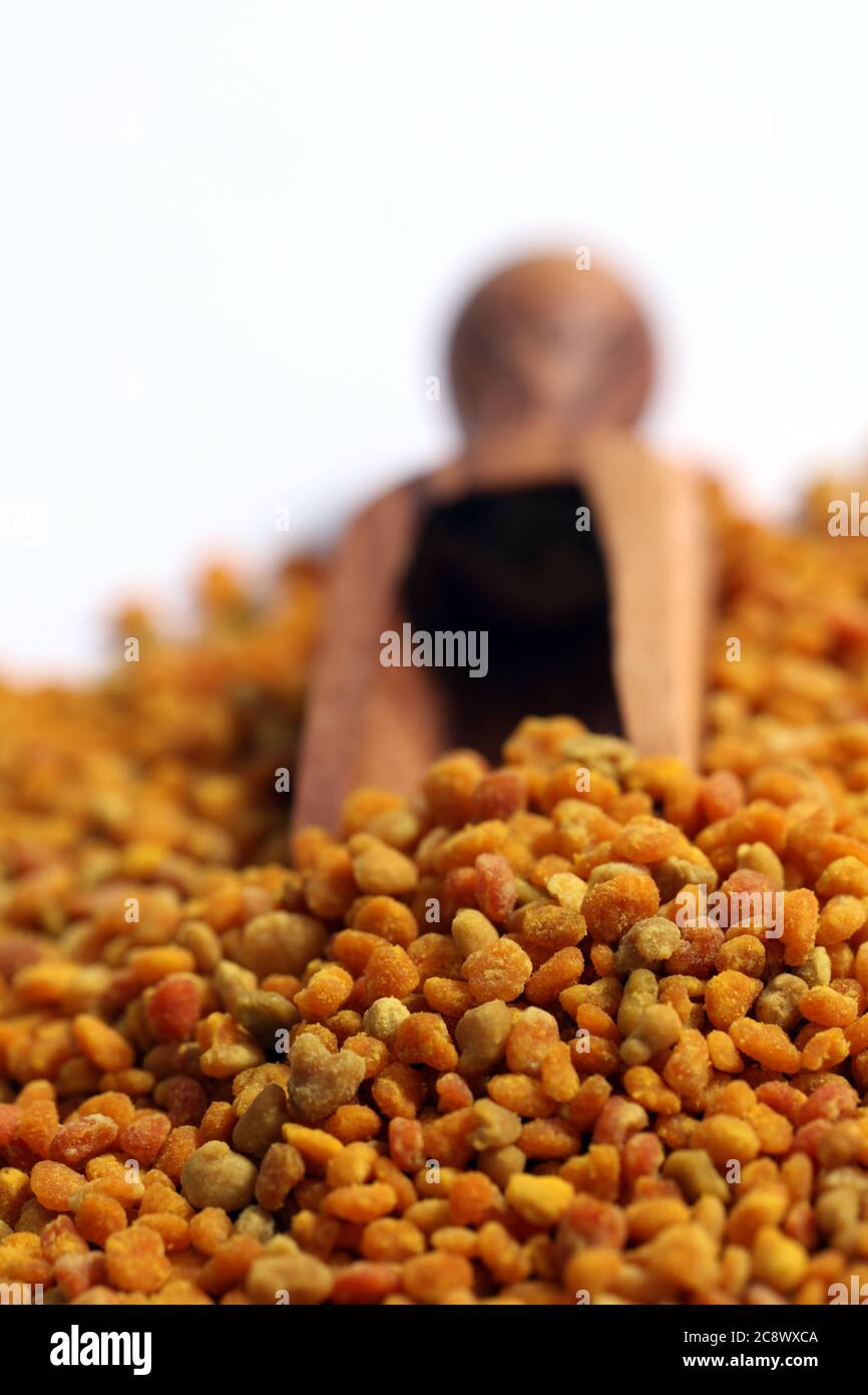 Propolis bees bee pollen on white background Stock Photo - Alamy