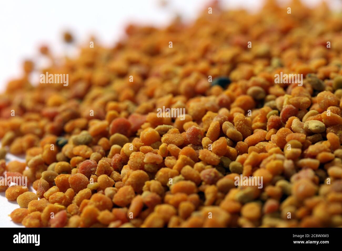 Propolis bees bee pollen on white background Stock Photo - Alamy