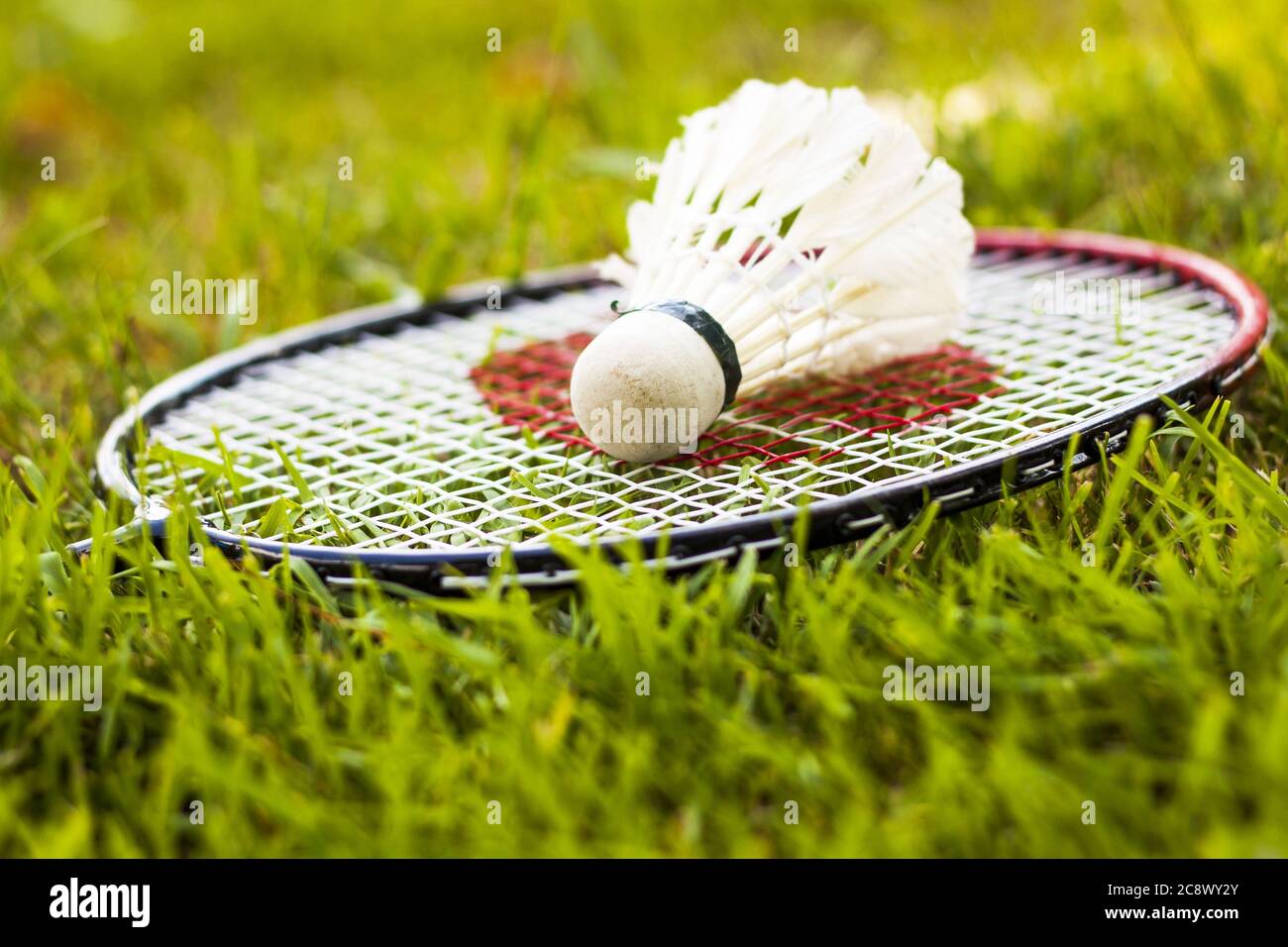 Racquet game in nature hi-res stock photography and images - Alamy