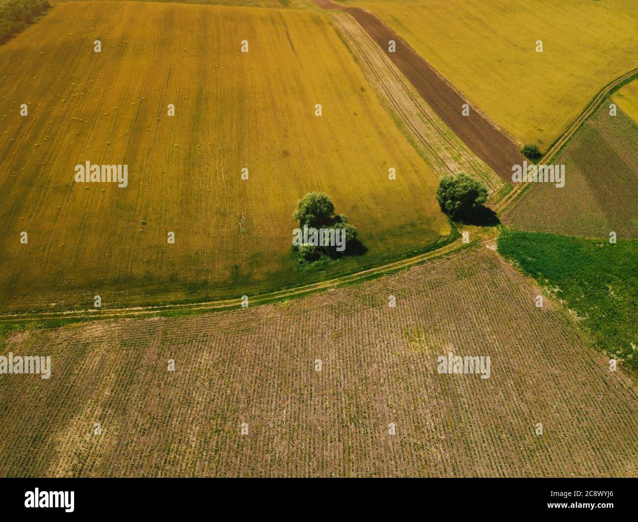 Dorne view hi-res stock photography and images - Alamy