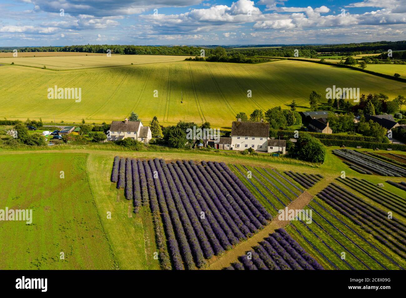 Flower fields aerial hi-res stock photography and images - Alamy