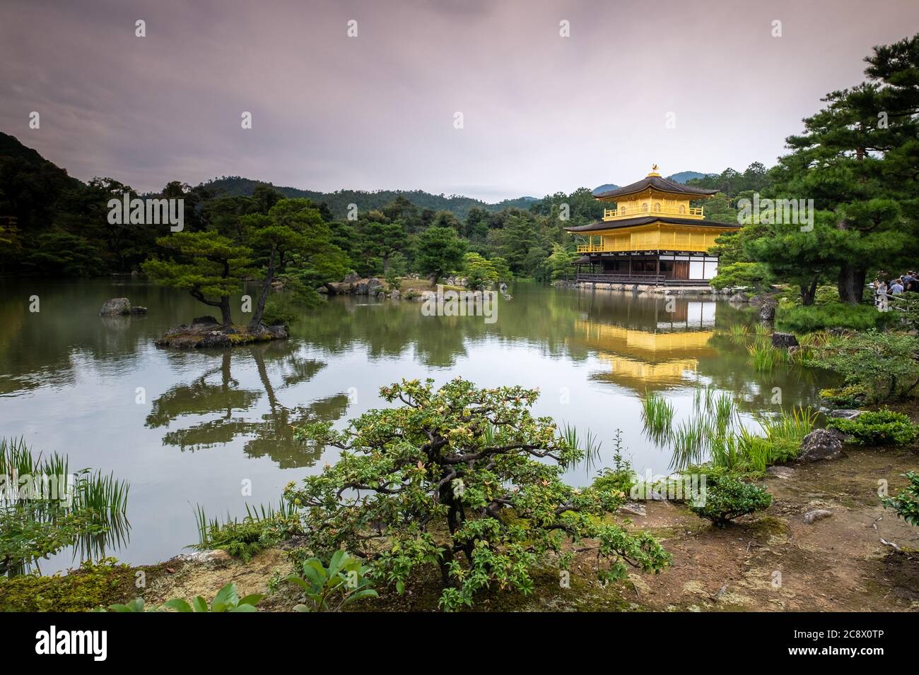 Yellow temple in a lake in Japan Stock Photo - Alamy