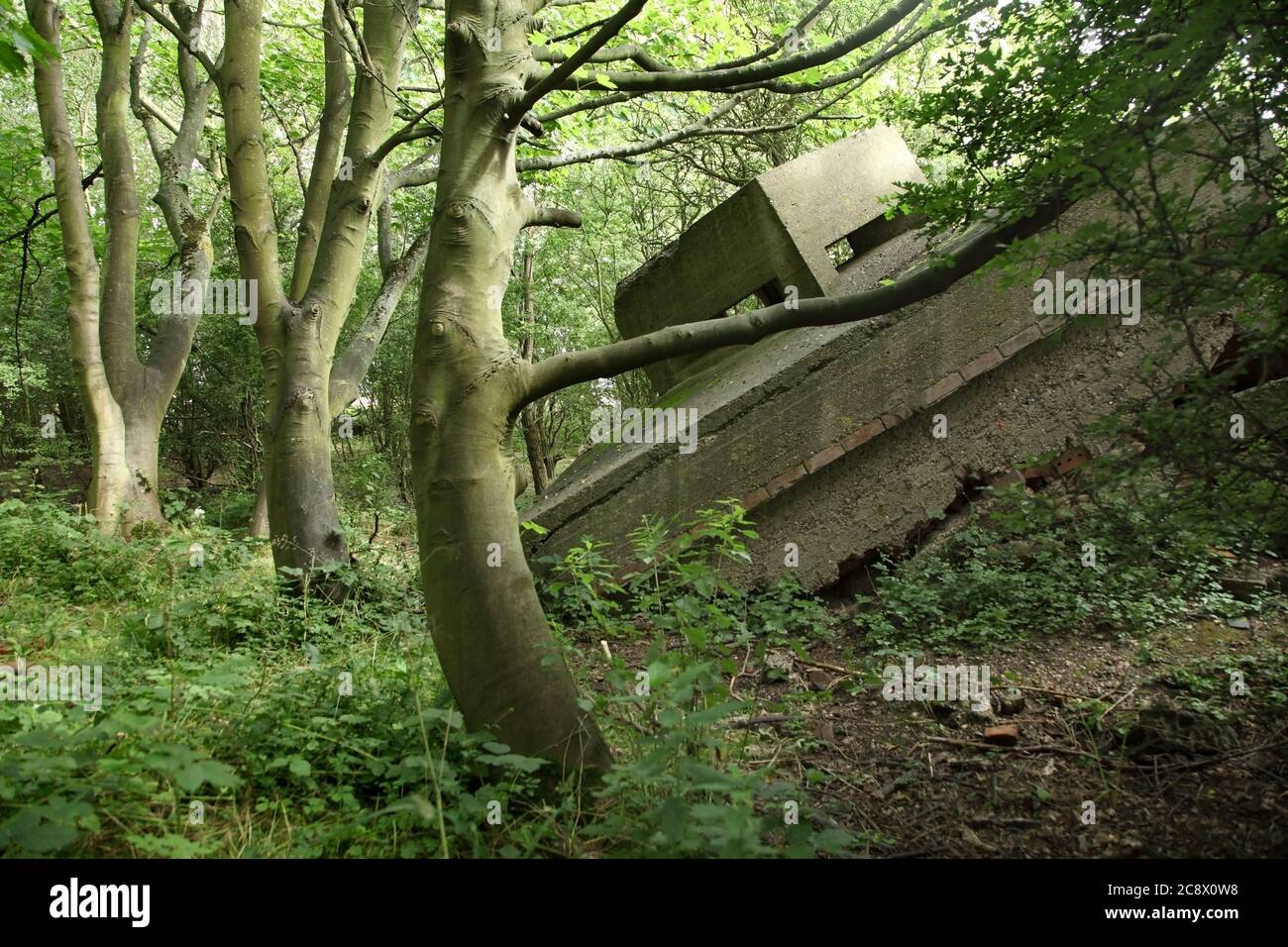 The ruined remains of the World War 1 Sunk Island defensive gun battery ...