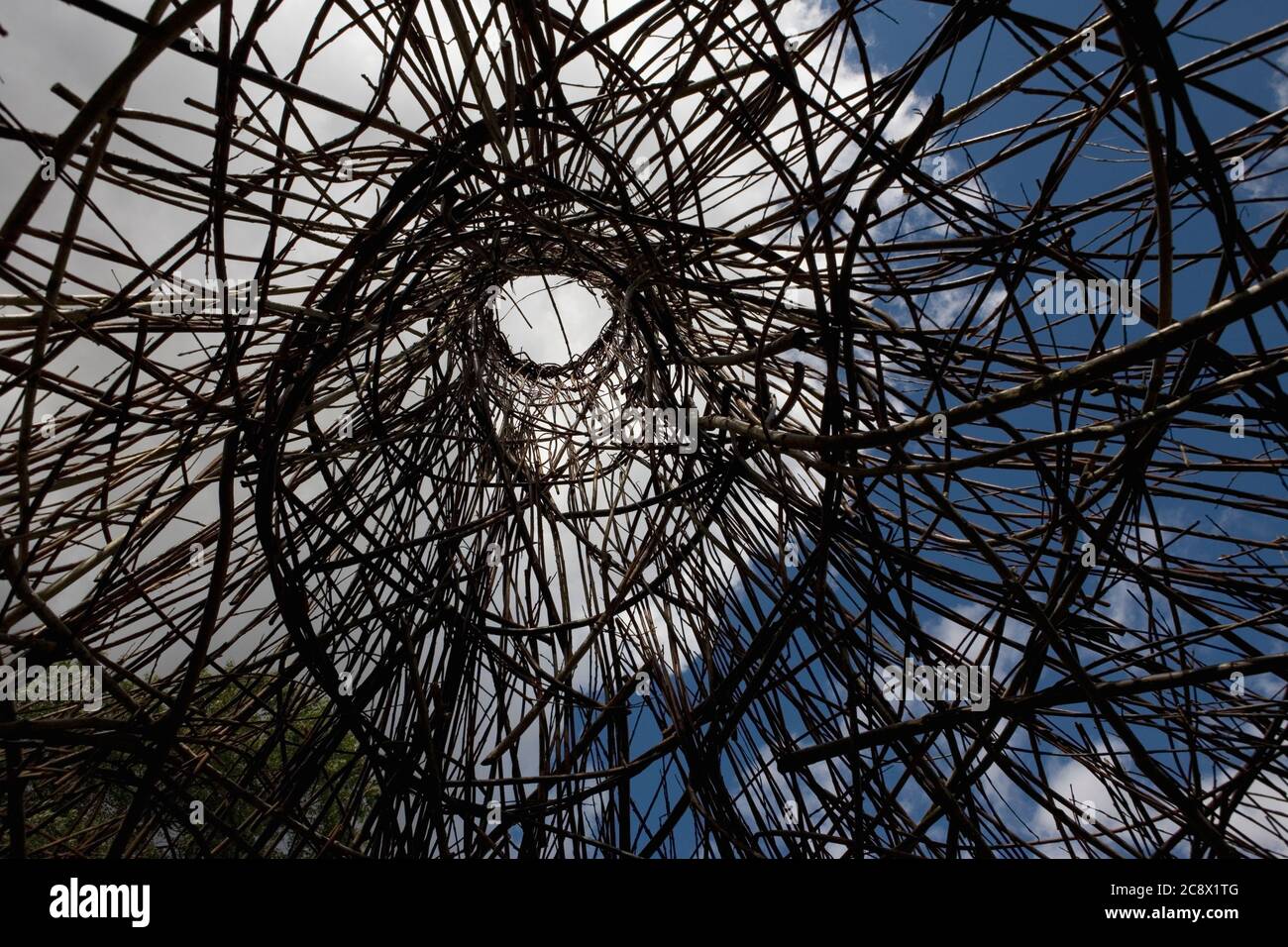 Woven willow structure, West Dean Gardens, West Sussex, England, UK ...