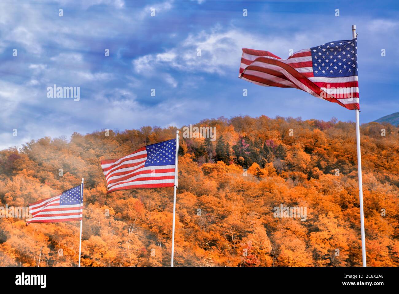 Waving american flags in New England, autumn foliage season with orange ...