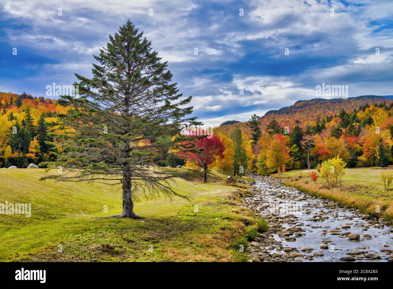 Beautiful creek of New England with tree and foliage background Stock ...