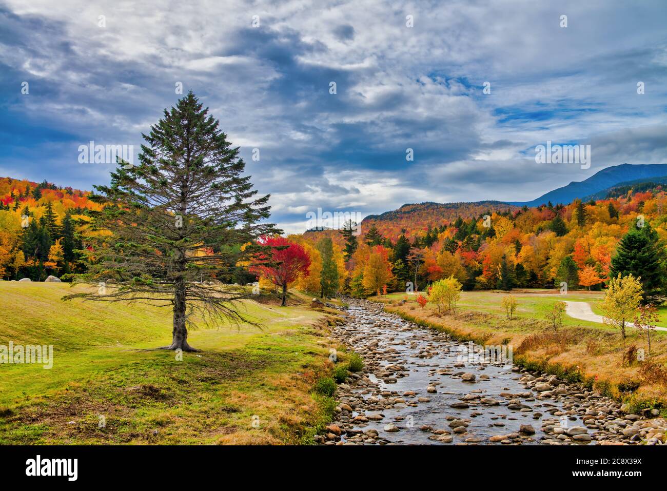 Beautiful creek of New England with tree and foliage background Stock ...