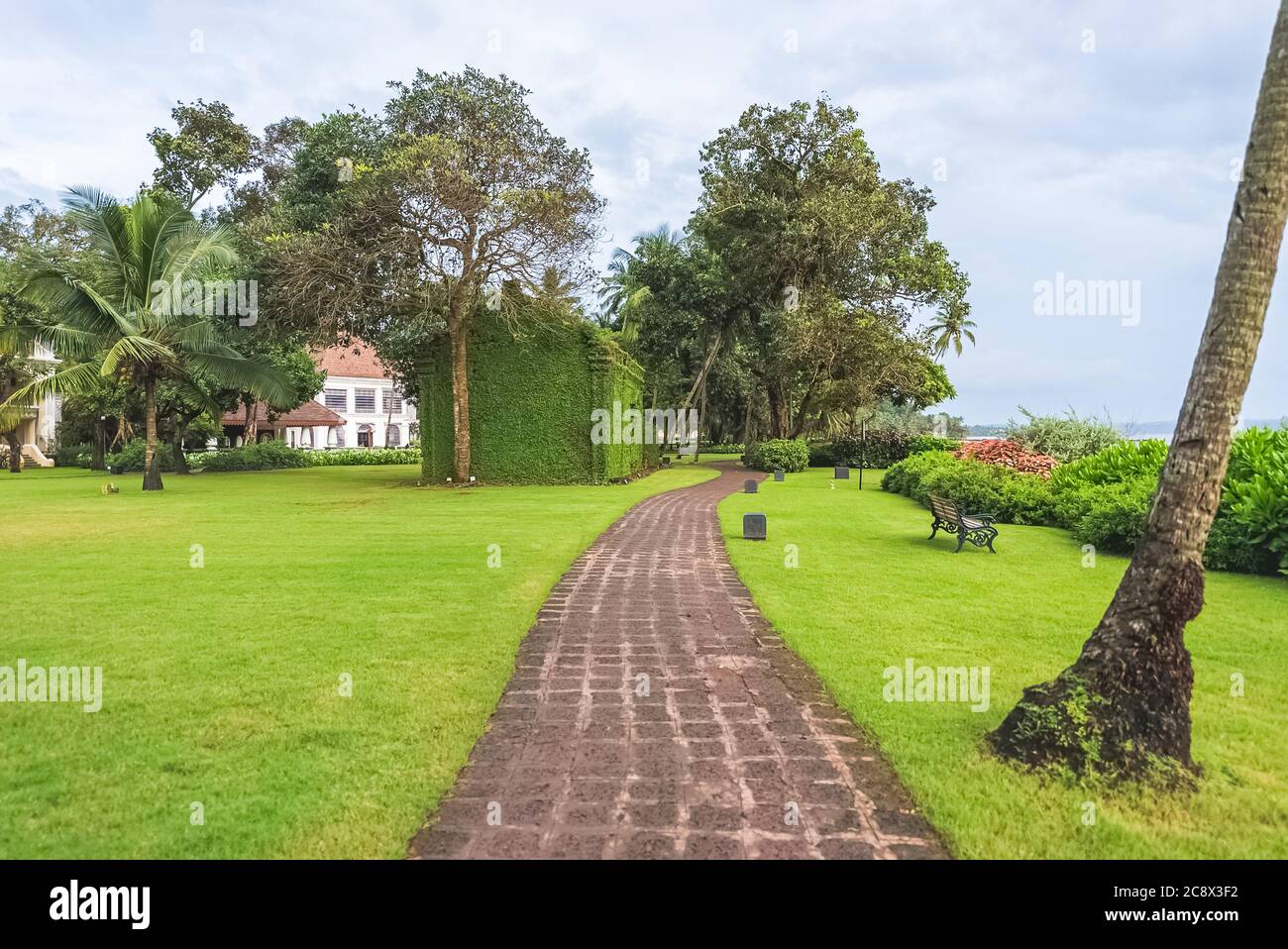 Green pathway by the beach captured in Goa city Stock Photo - Alamy