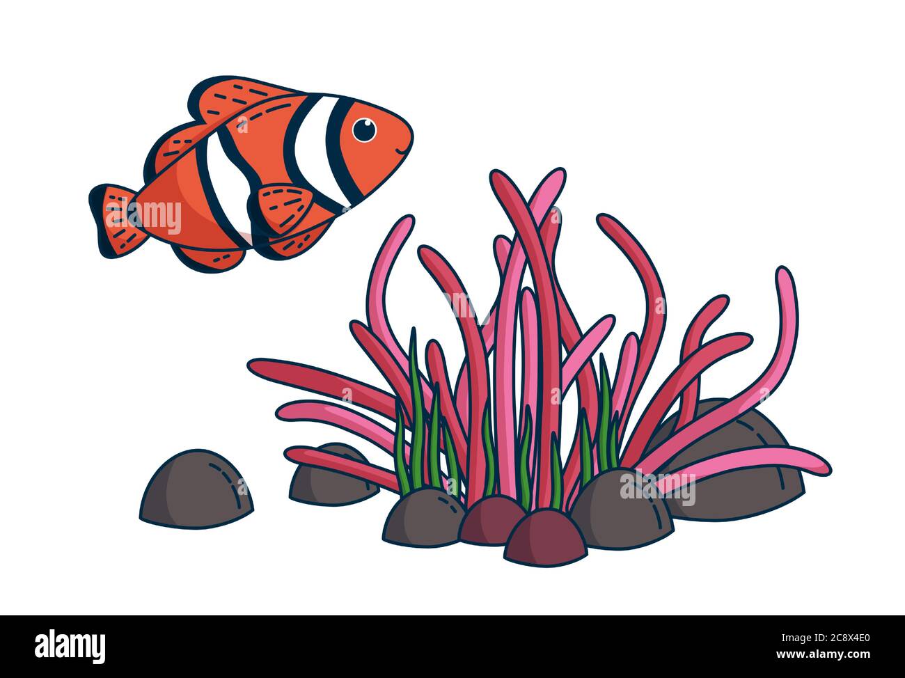 Anemone Clownfish Drawing