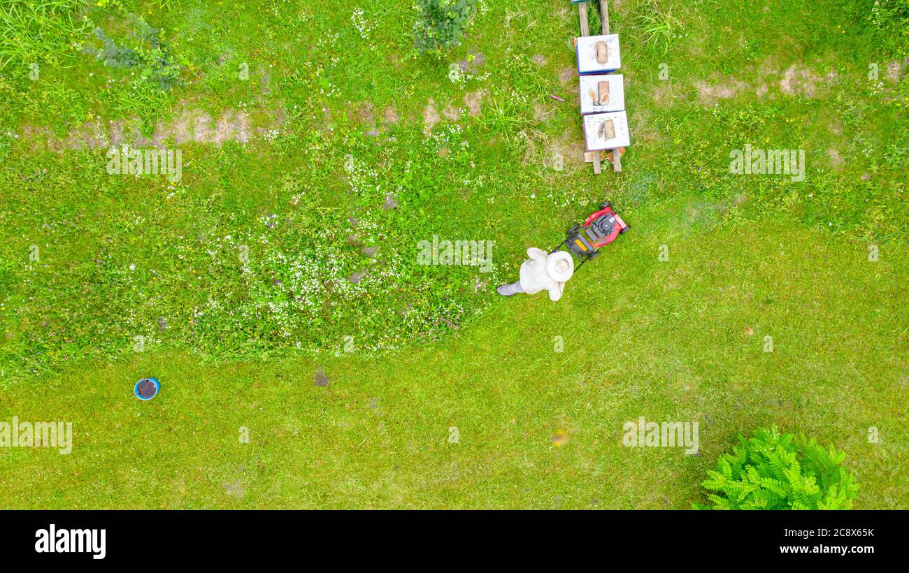 Above view on beekeeper as he is cutting grass among beehives arranged ...