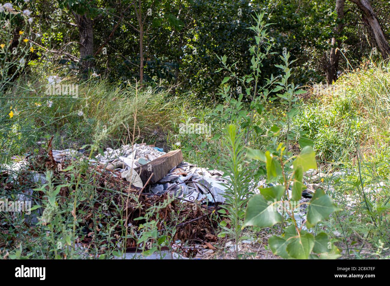 Heaps of dirty garbage rubbish in nature, pollution, plastic. Human ...