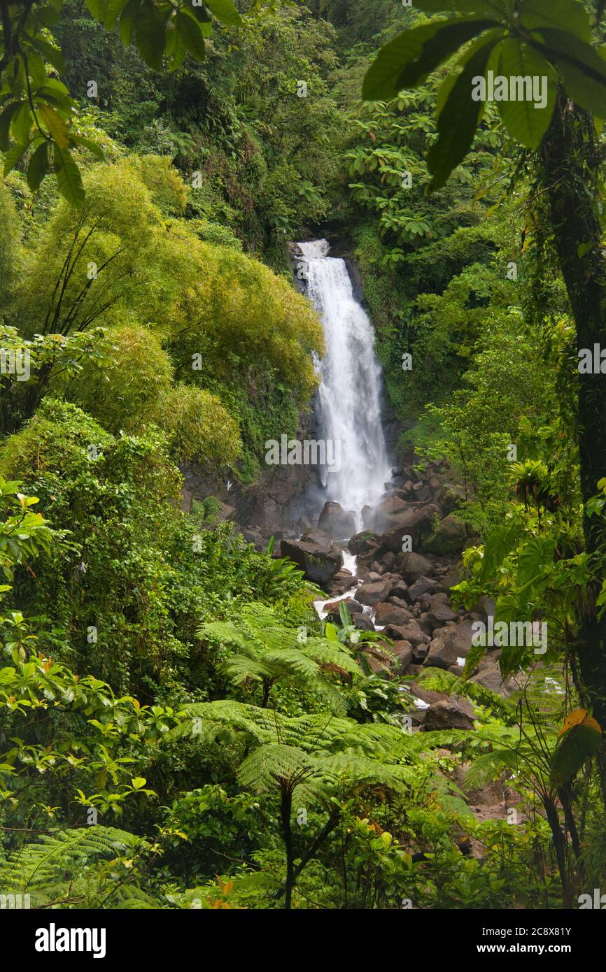Trafalgar Falls waterfalls on Dominica Island, The Caribbean Stock ...
