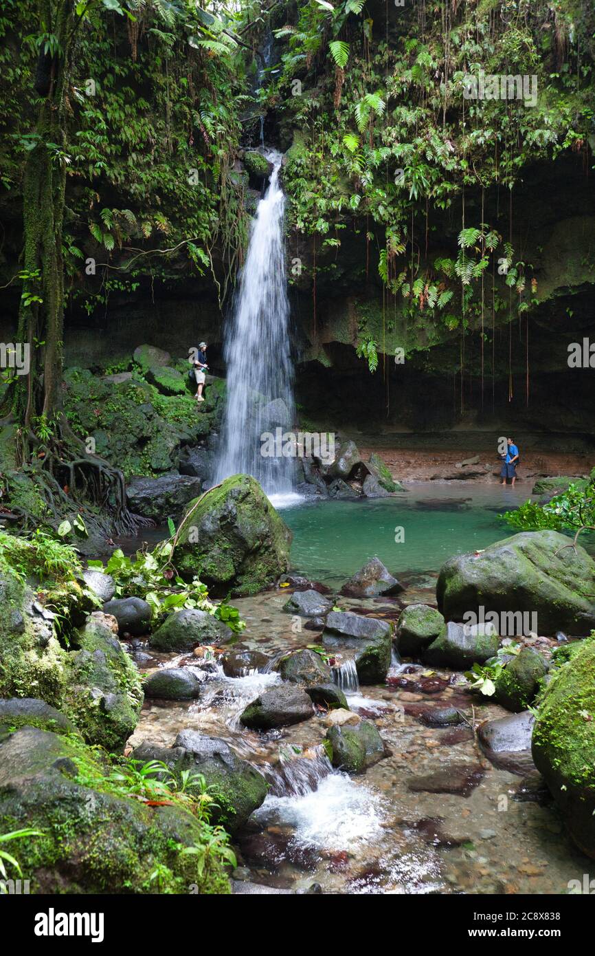 Emerald Pools waterfall on Dominica Island, The Caribbean Stock Photo ...