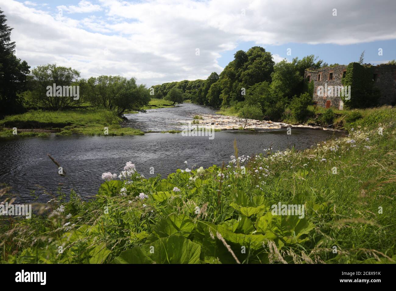 Scotland, Ayrshire, July 2020 River Irvine at Laigh Milton mill to the ...