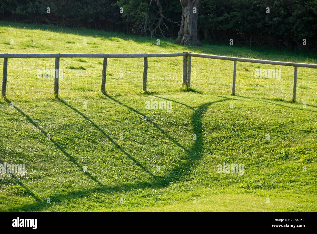 Abstract of pattern of long shadows created by low sun shining through ...
