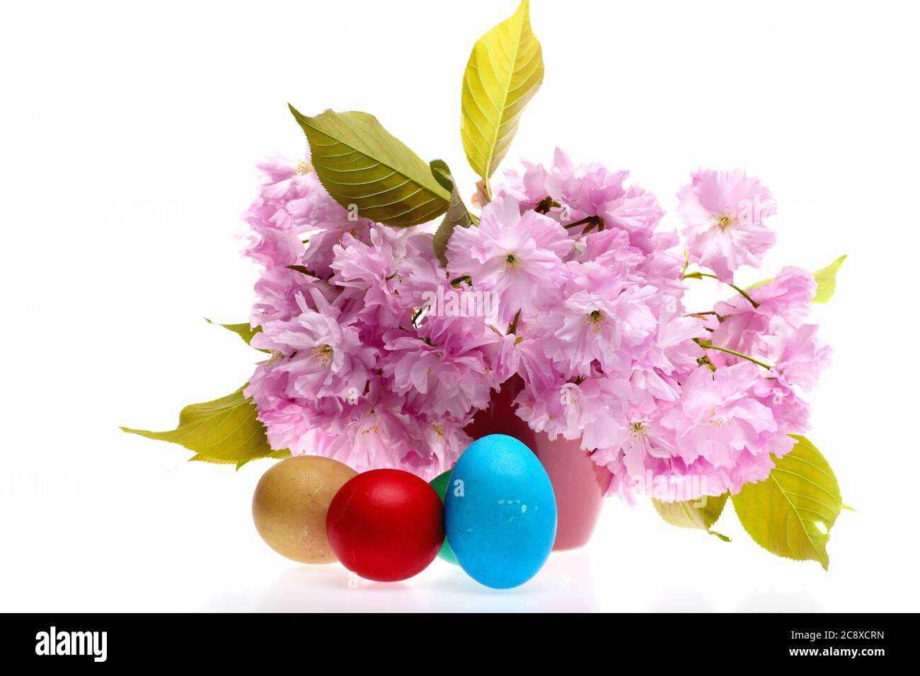 Eggs for Easter and blooming sakura, isolated on white background ...