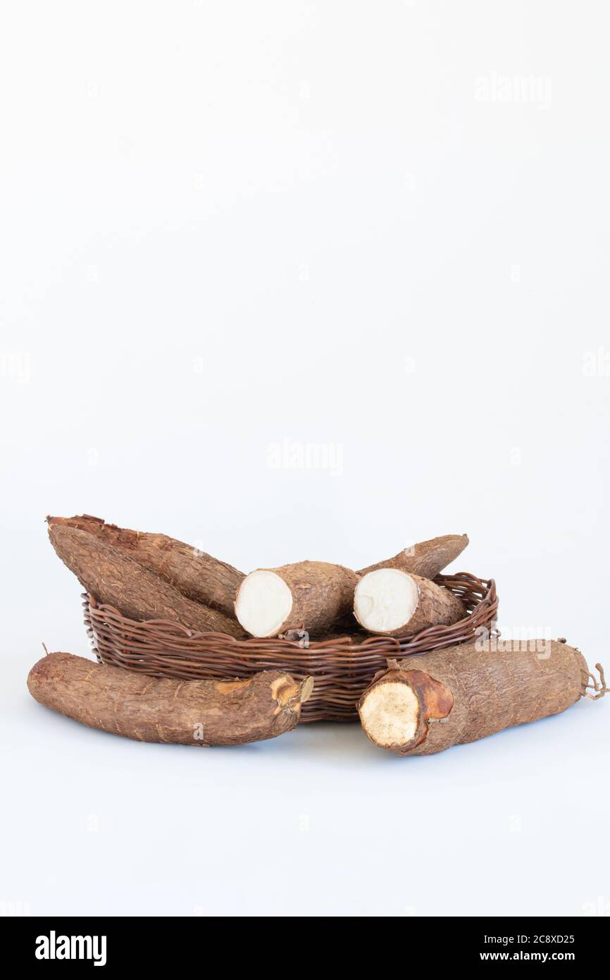 Fresh Cassava root isolated on a white background. Space copy Stock ...
