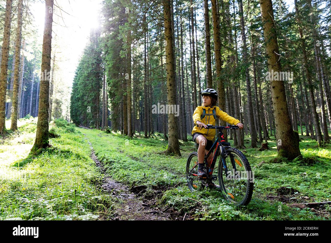 Kid cycling in the forest Stock Photo - Alamy