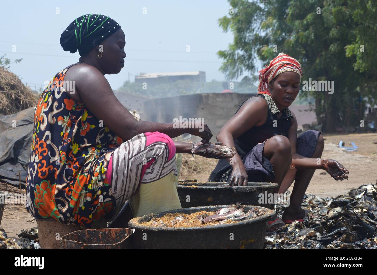 Associations of women fish processors hi-res stock photography and ...