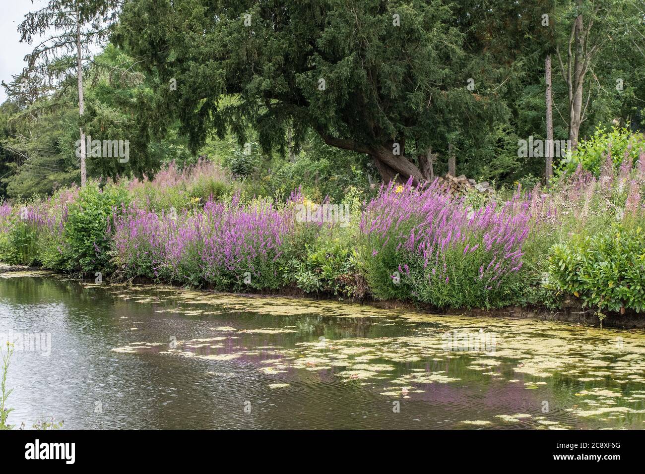 Edge of bank hi-res stock photography and images - Alamy