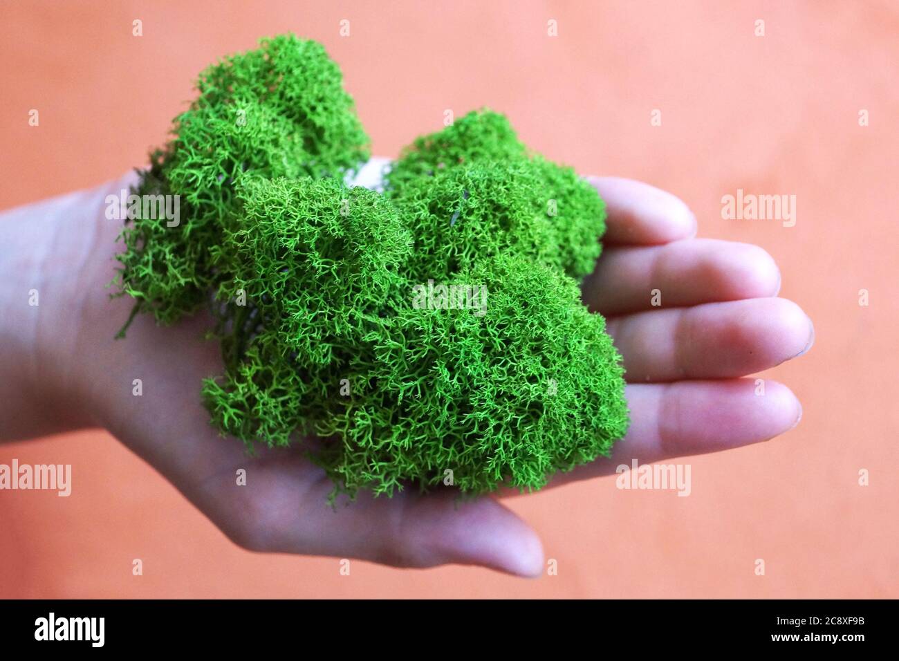 Elastic girls hi-res stock photography and images - Alamy