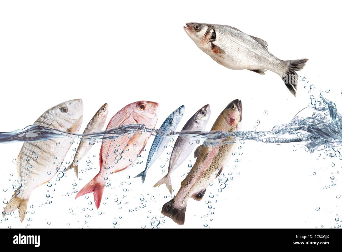 fresh fish falling in water Stock Photo - Alamy