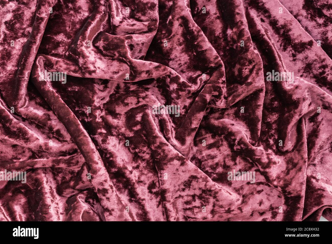 The fabric texture is plush in magenta color, laid out drapery Stock ...