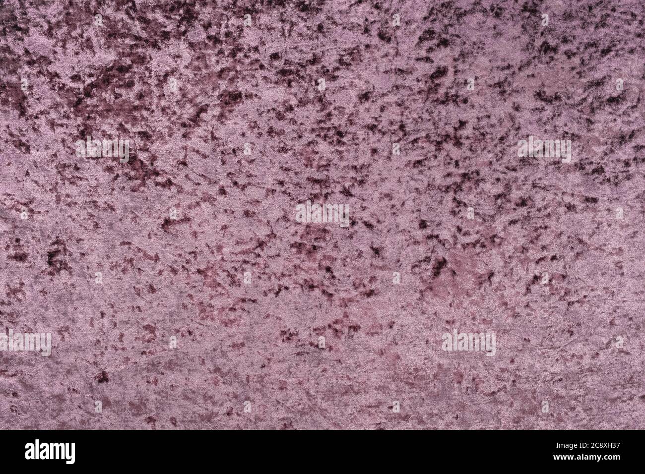 The fabric texture is plush velvet in magenta color, laid out smoothly ...