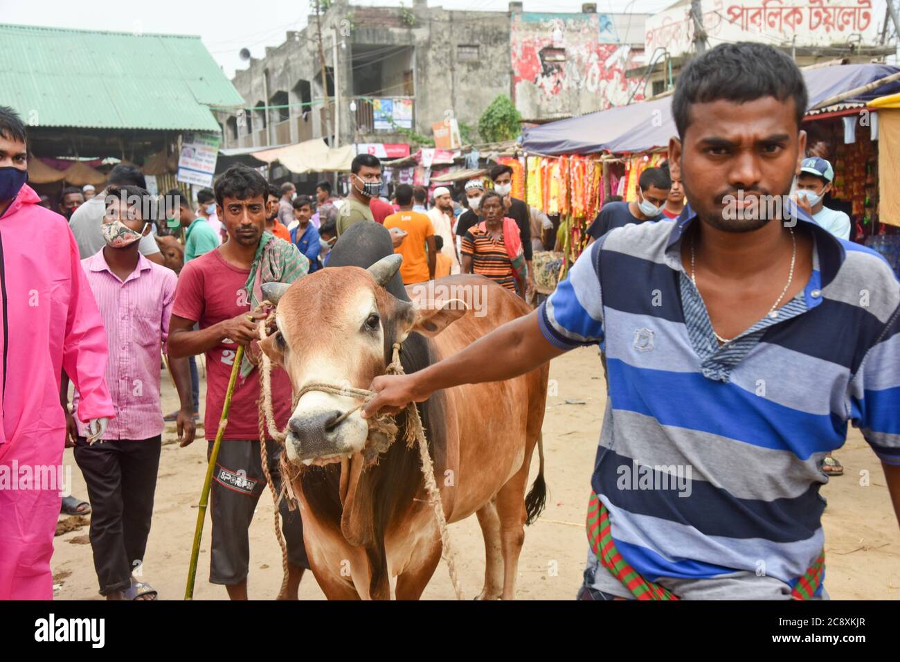 Cattle sellers wait with oxen for customer at a cattle market ahead of Eid al-Adha Muslim ...