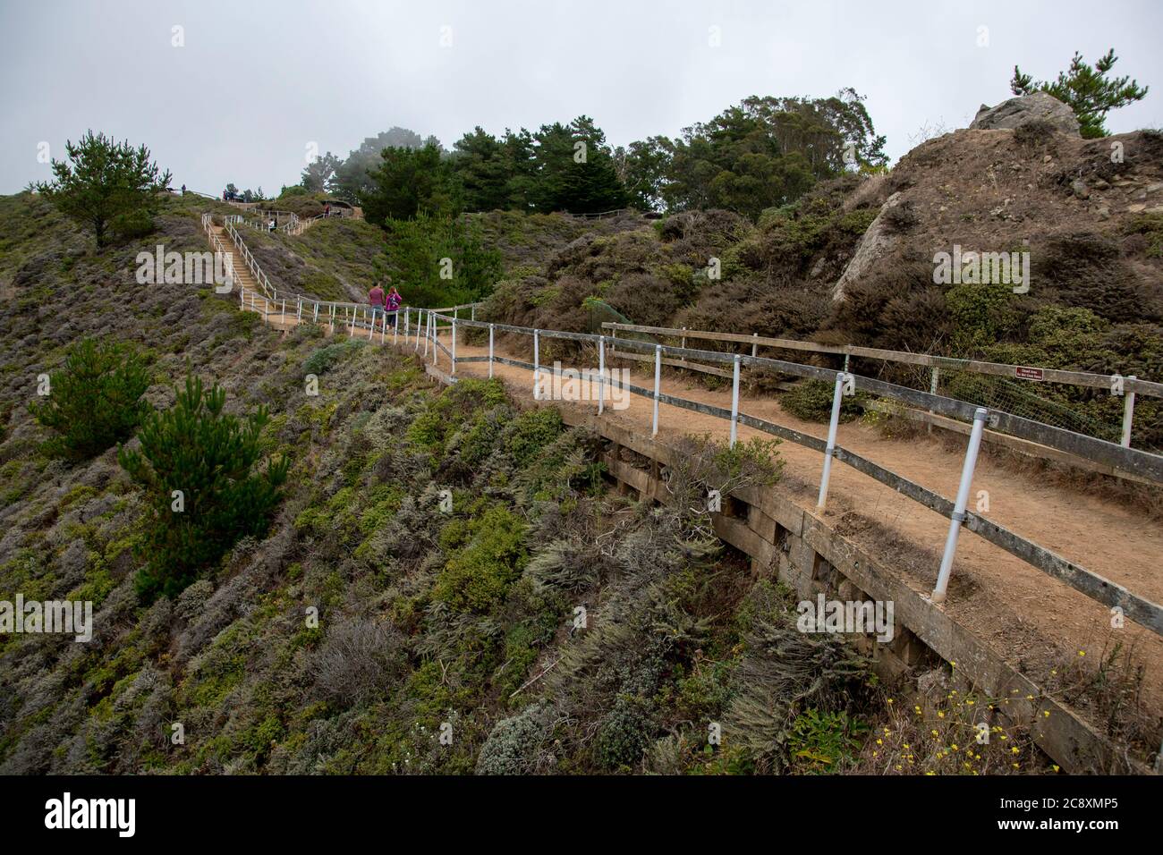 Muir beach trail hi-res stock photography and images - Alamy
