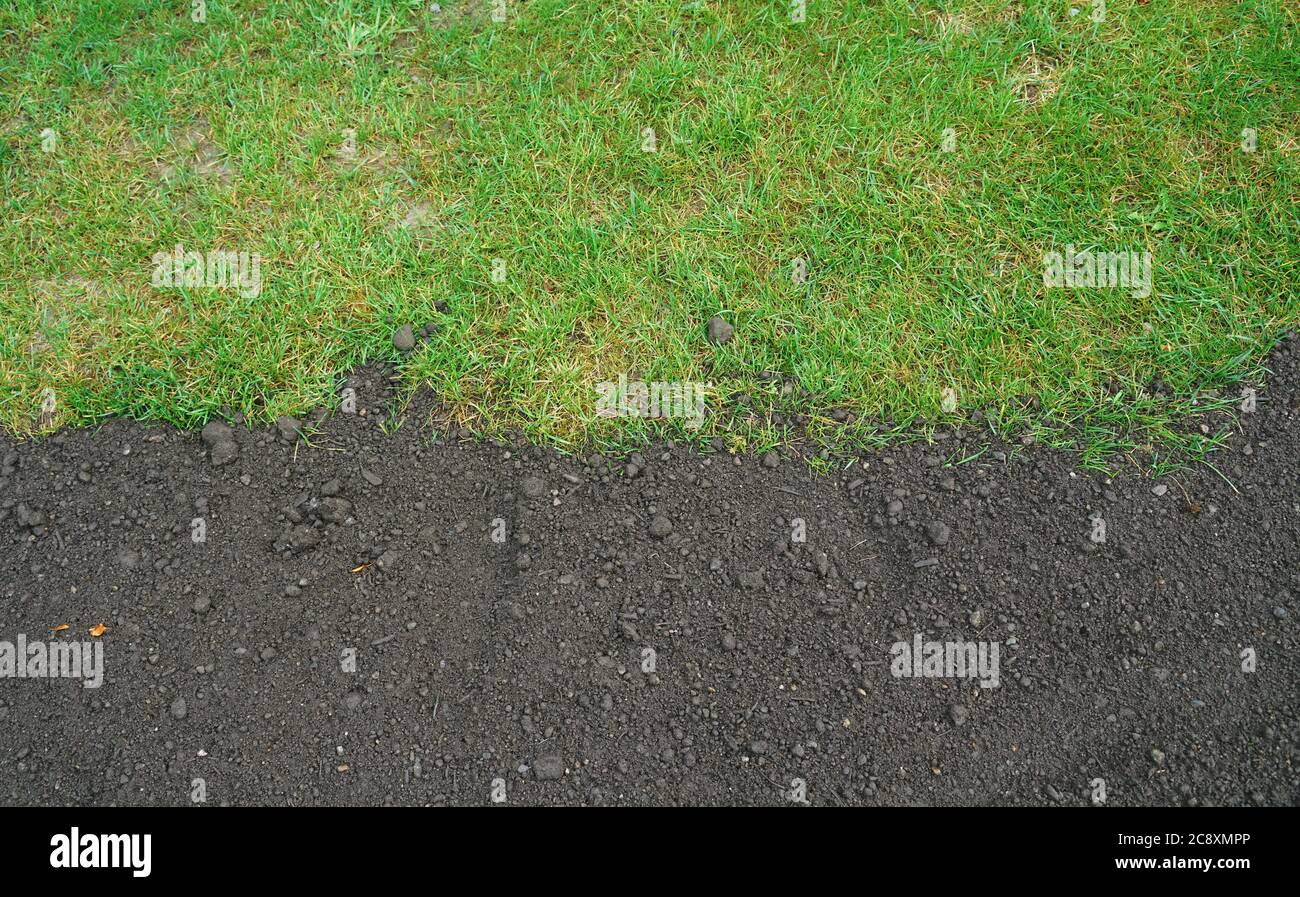 green lawn and dirt for new lawn Stock Photo - Alamy