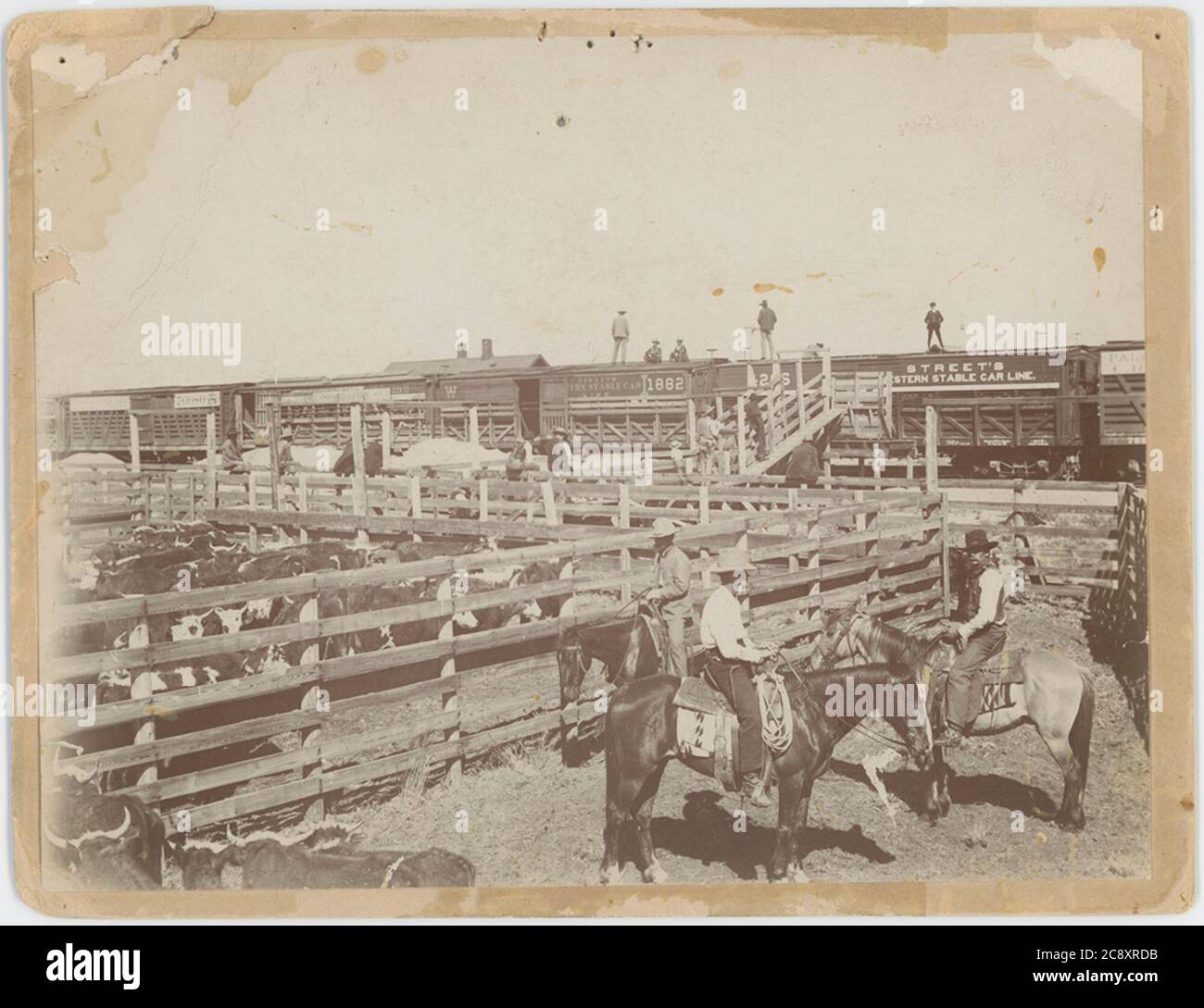 Stockyard historical hi-res stock photography and images - Alamy