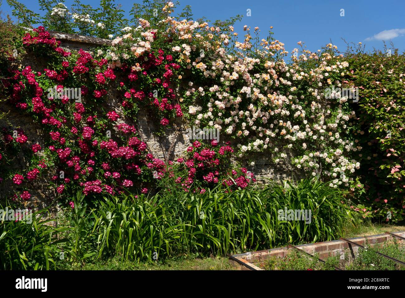 Rousham House and Gardens,Oxfordshire,England Stock Photo - Alamy