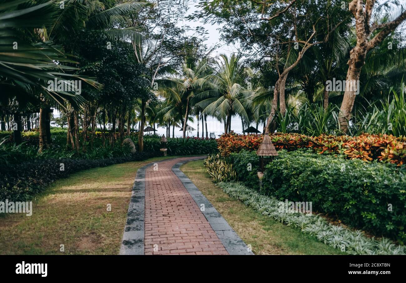 Stone path in a beautiful tropical garden with palm tree and green ...