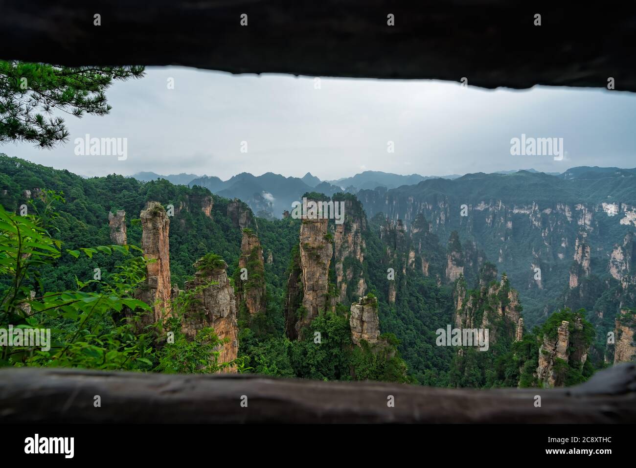 Stunning rock pillars of the tianzi mountain range, Avatar mountains ...