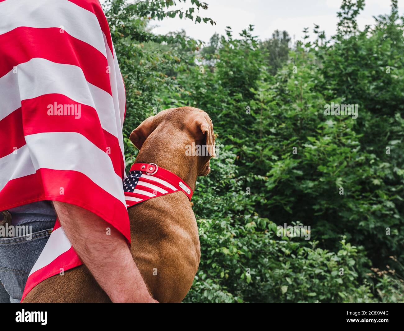 Handsome man, charming puppy and American Flag Stock Photo - Alamy