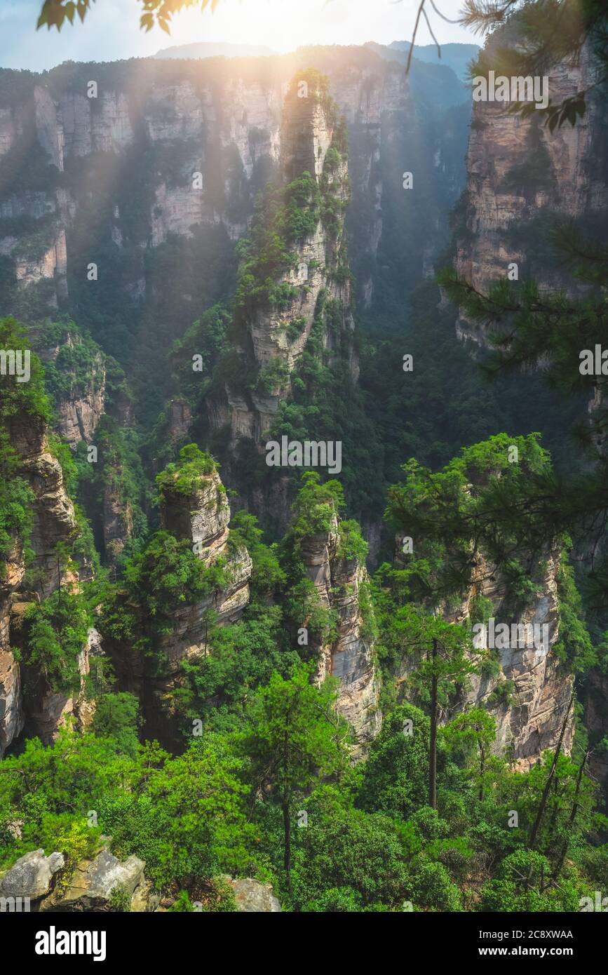 Vertical karst pillar rock formations as seen from the Enchanted ...