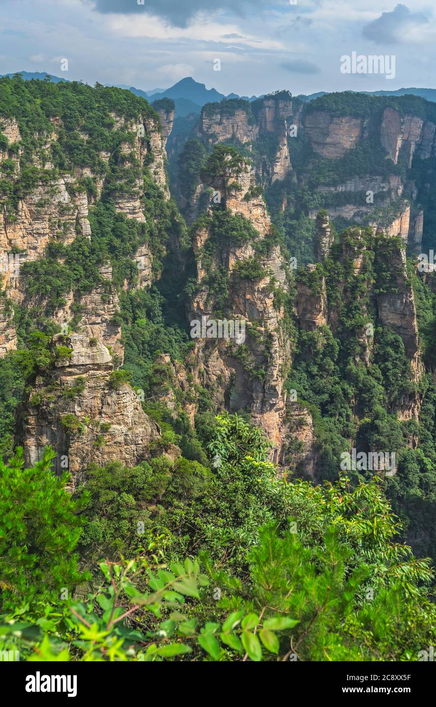 Vertical karst pillar rock formations as seen from the Enchanted ...